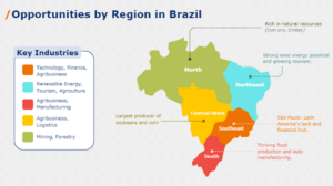 FDI in Brazil: A Guide for International Investors