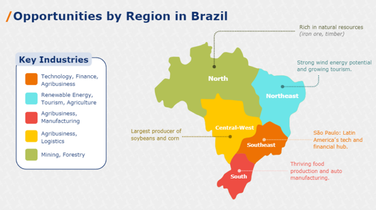FDI in Brazil: A Guide for International Investors